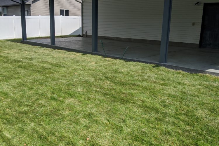 Patio Cover with Privacy Wall Ideas - Sharp Exteriors